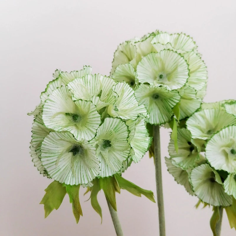 Artificial Scabiosa Pods Flower Stem (8cmDx65cmH) – Floral Supplies Store