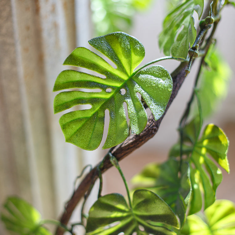 Artificial Tropical Turtle Leaf Ivy (102cmL) – Floral Supplies Store