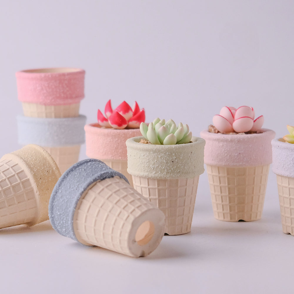 Set of 6 Ice Cream Cone Mini Plant Pots – Floral Supplies Store
