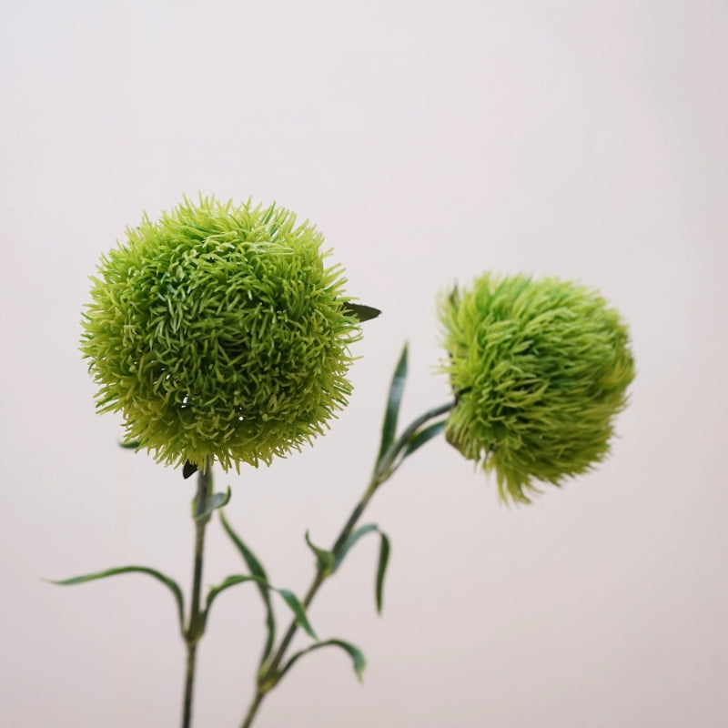 Artificial Dianthus Barbatus Green Ball 55cmH – Floral Supplies Store