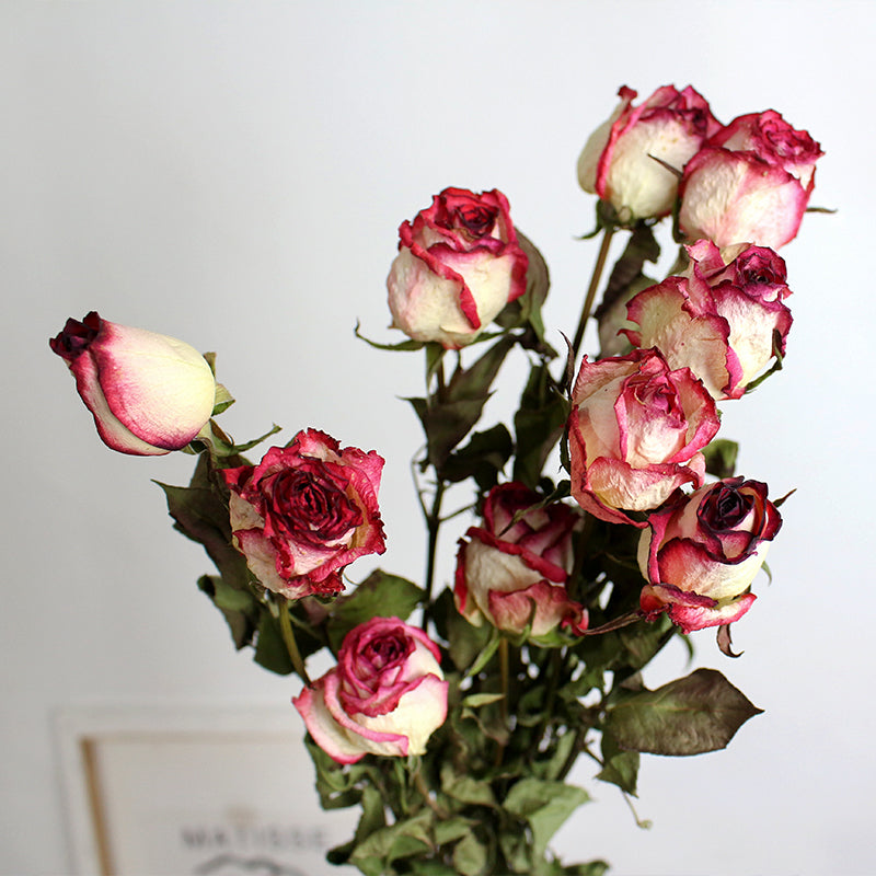 Real Dried Roses 10 Stems – Floral Supplies Store