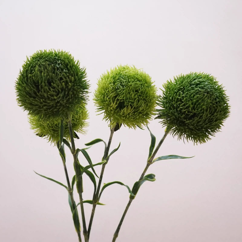 Artificial Dianthus Barbatus Green Ball 55cmH – Floral Supplies Store