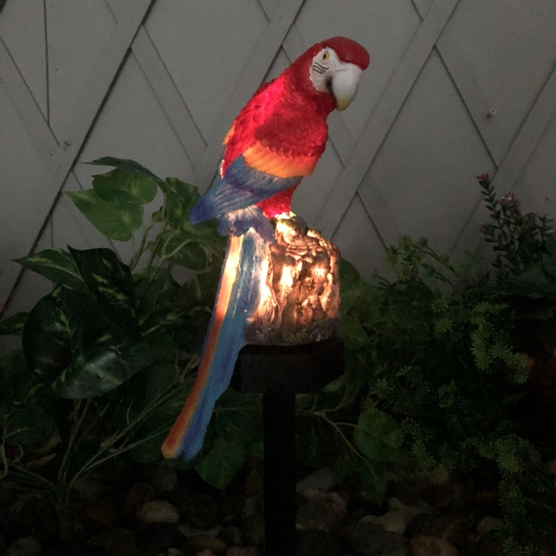 LED Solar Parrot Lawn Light Solar Garden Light – Floral Supplies Store