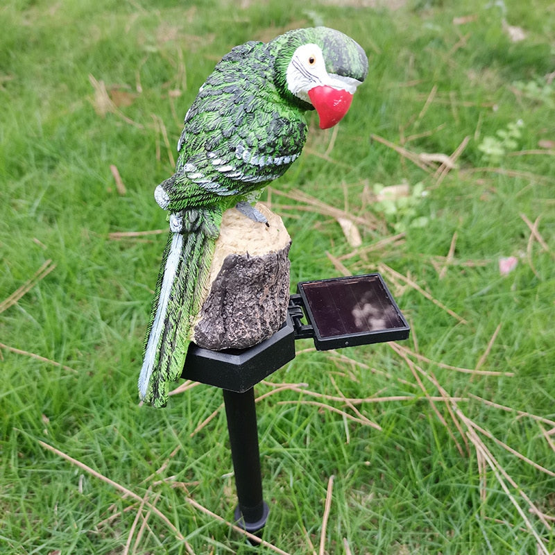 LED Solar Parrot Lawn Light Solar Garden Light – Floral Supplies Store