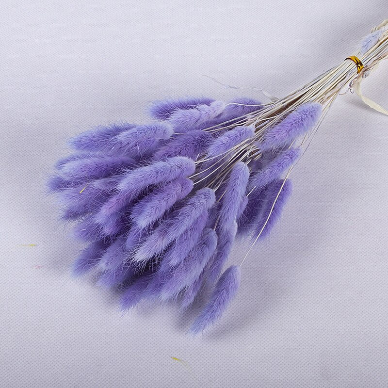 60pcs Natural Dried Bunny Rabbit Grass – Floral Supplies Store