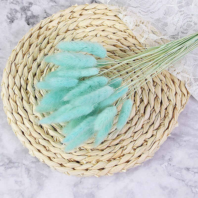 60pcs Natural Dried Bunny Rabbit Grass – Floral Supplies Store